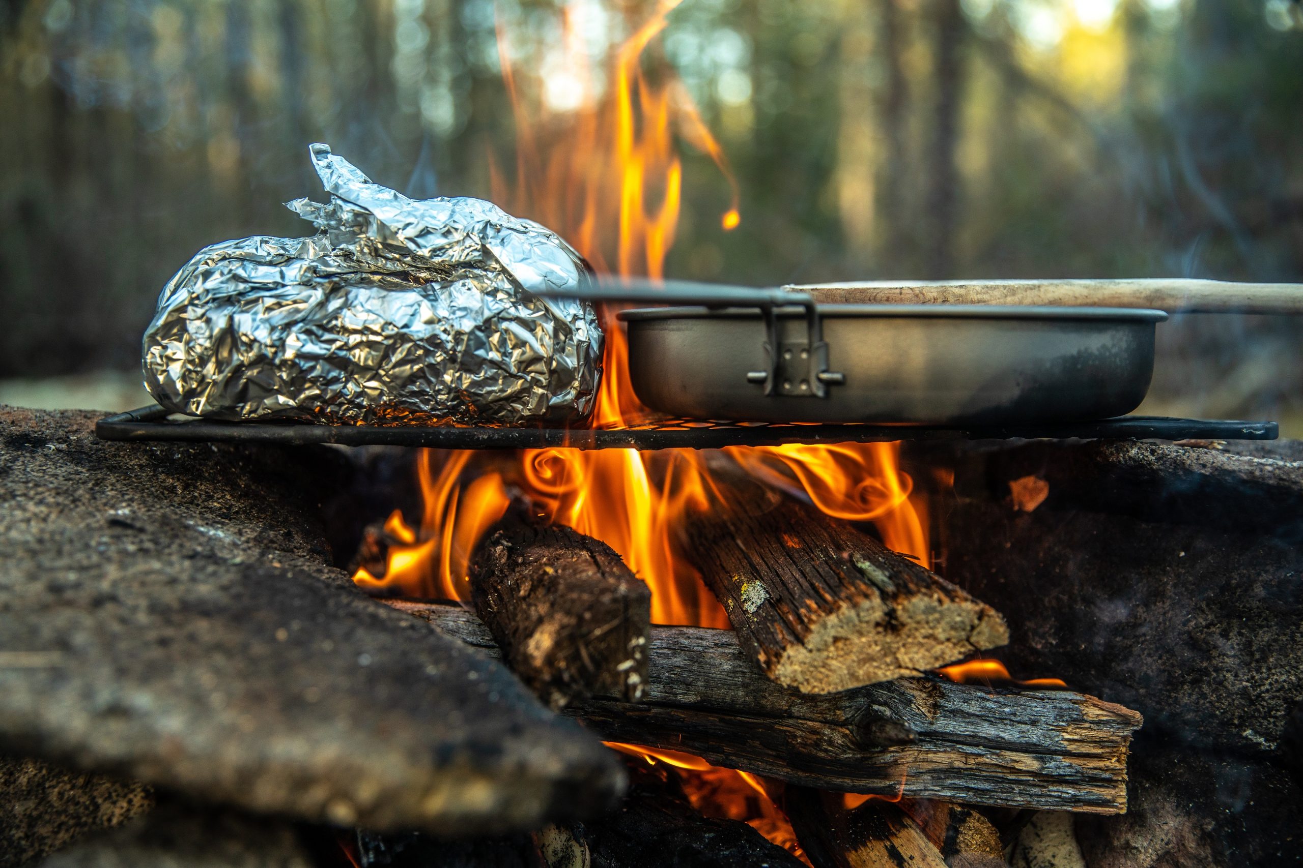 Forest Preserve Programs Feature History, Hiking, Campfire Cooking ...