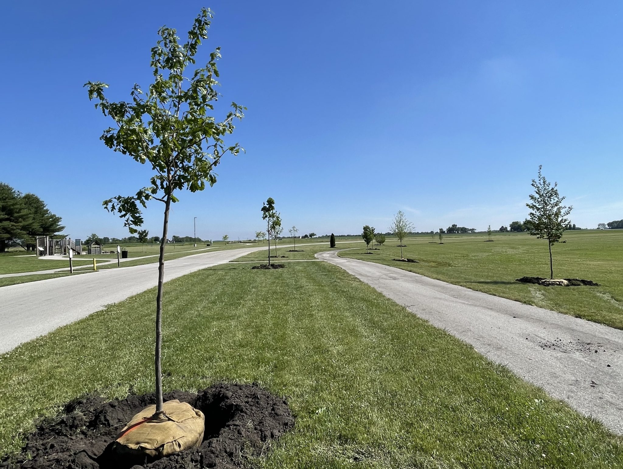BTPD Unveils Arboretum Trail to Celebrate Earth Day - The Vedette