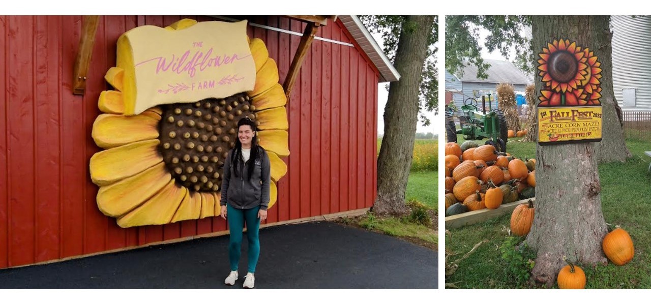 Visit Fall Fest at Monee's Wildflower Garden - The Vedette