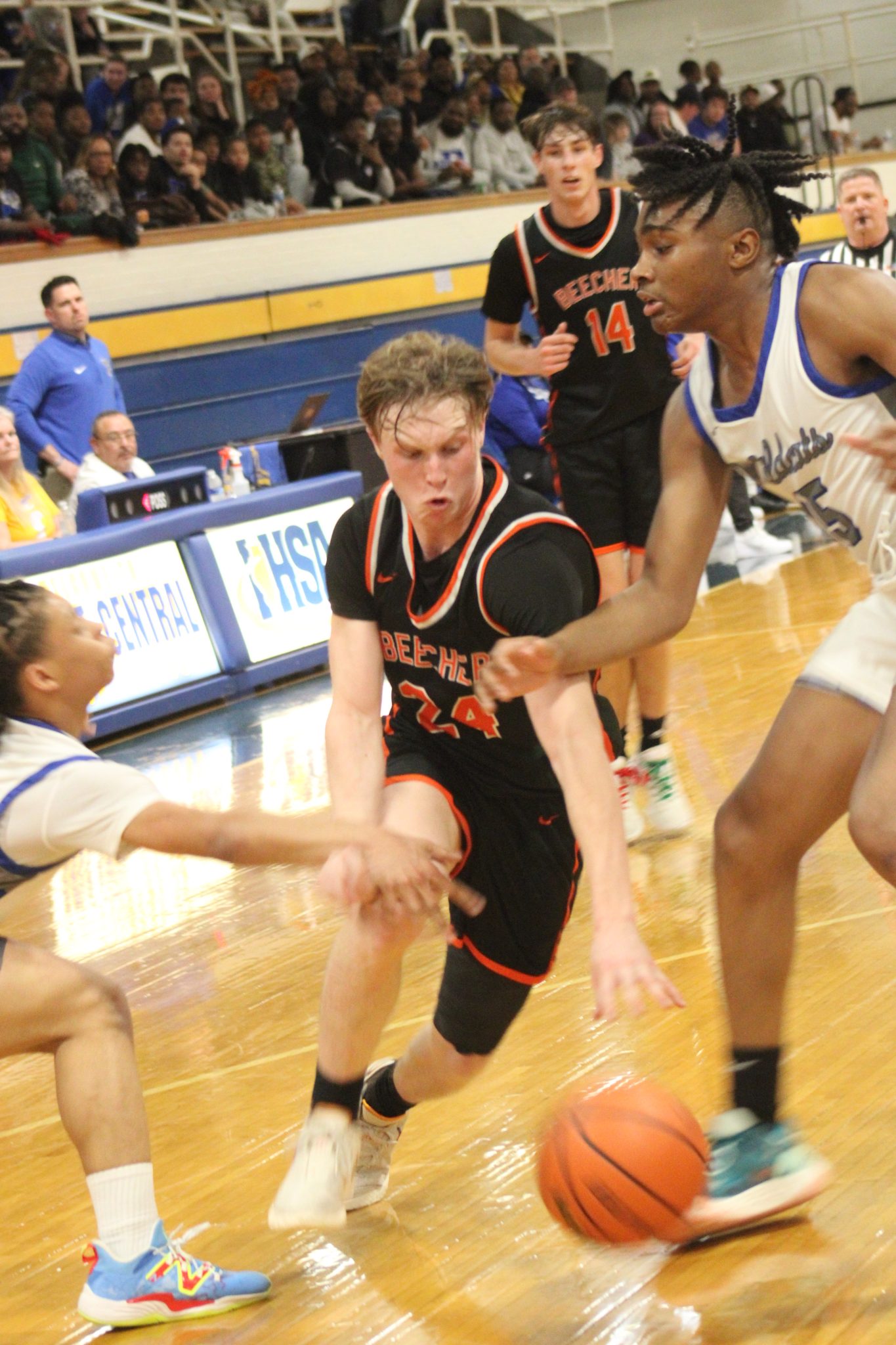 Bobcats Made History - The Vedette