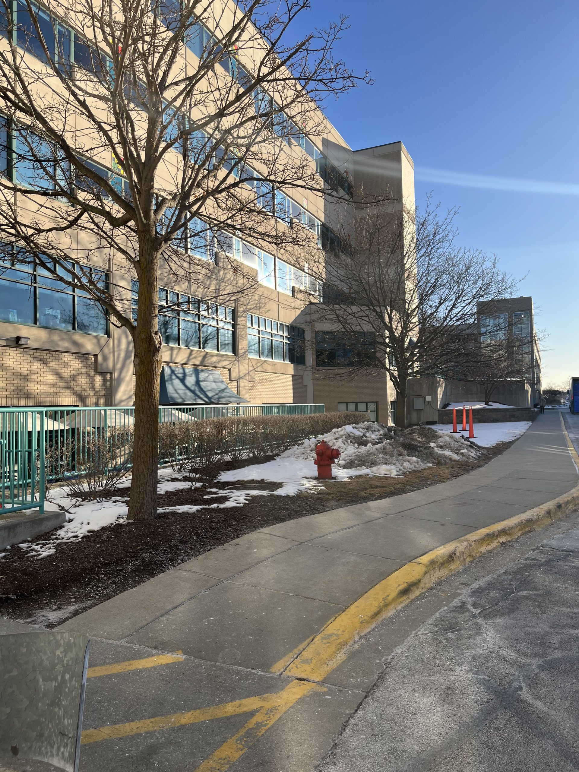 Advocate Christ Medical Center, Advocate Children’s Hospital earn Tree ...