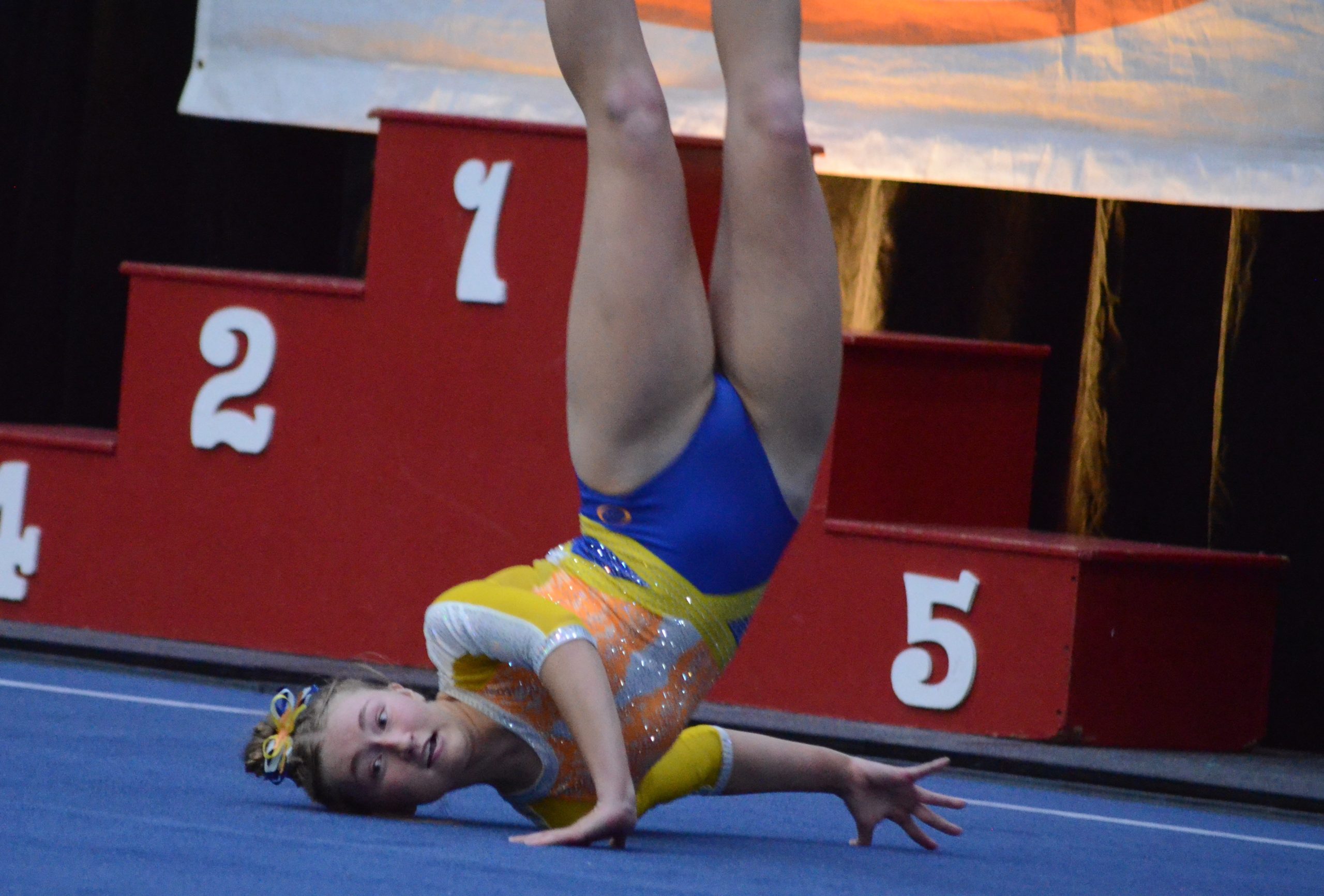 Regann Chausse, District 230 gymnasts make mark at state - Southwest ...