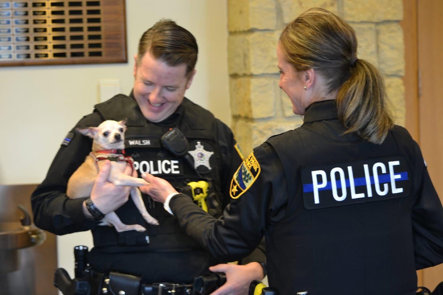 Strays, snakes and second chances: Police step in when animals need ...