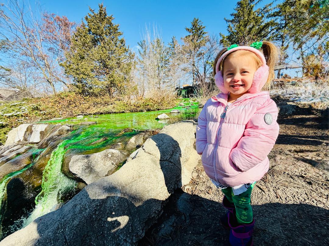 Lake Katherine waterfall ran green for St. Patrick’s Day celebration ...